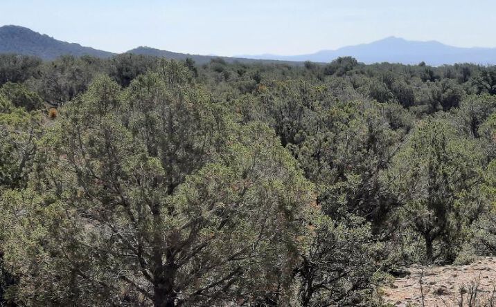 166 W2 Westwood Ranch, Williams, AZ 86046 | Crexi.com