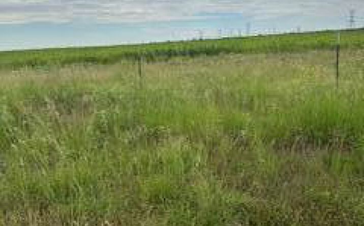 E Highway 193, Afton, TX 79220 | Crexi.com