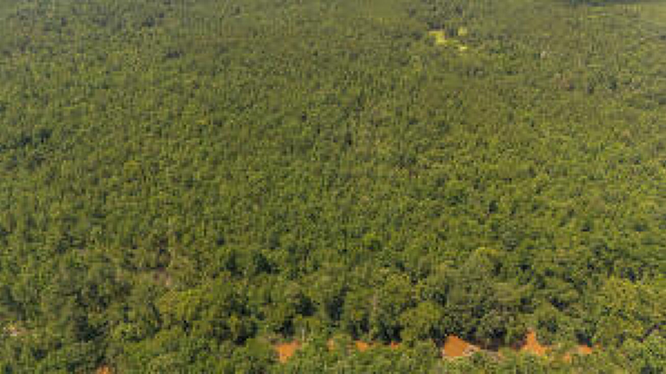 Tbd Burton Drive, Edgefield, SC 29824 | Crexi.com