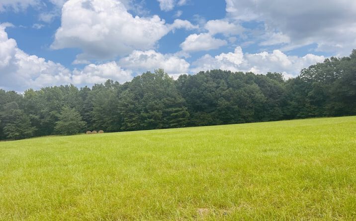 0 Fouche Rd, Tazewell, GA 31803 | Crexi.com