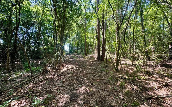 Gary Drive, Byram, MS 39272 | Crexi.com