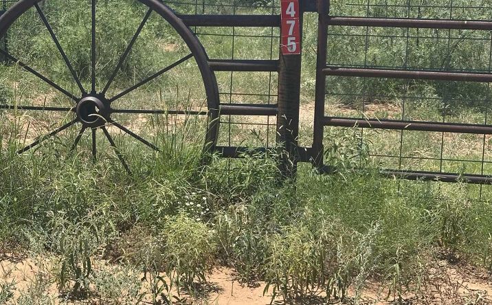 6475 Quay Rd Ap Route, Tucumcari, NM 88401 | Crexi.com