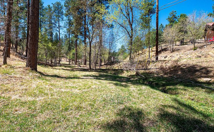 205-209 Flume Canyon Dr, Ruidoso, NM 88345 | Crexi.com