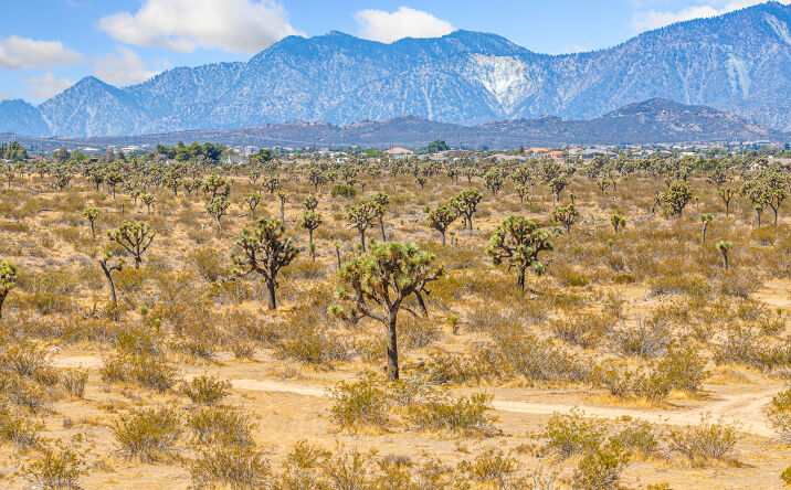 0 Del Rosa Rd, Phelan, CA 92371 | Crexi.com