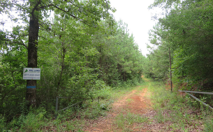 1 Dallas County 291, Plantersville, AL 36758 | Crexi.com