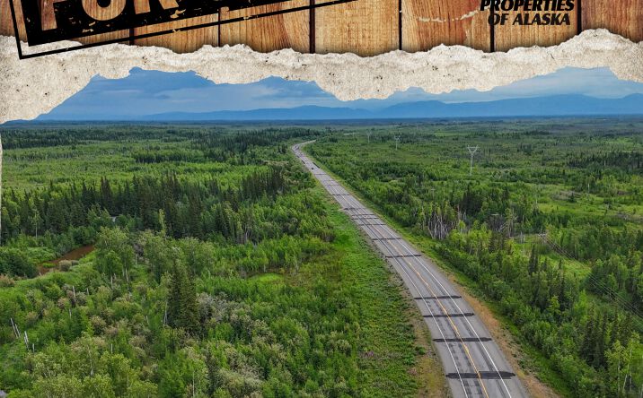 Mile 294.5 Parks Hwy, Nenana, AK 99760 | Crexi.com