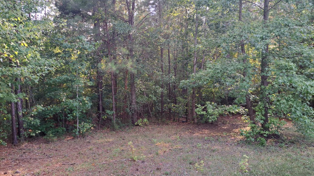 1001 Robinson Road, Ridgeway, SC 29130 | Crexi.com