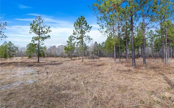 0 Conway Rosteet Road #Tract 3 Tract 3, Ragley, LA 70657 | Crexi.com