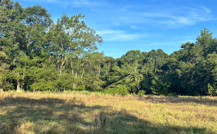 1609 Holliday Dam Rd, Belton, SC 29627 | Crexi.com