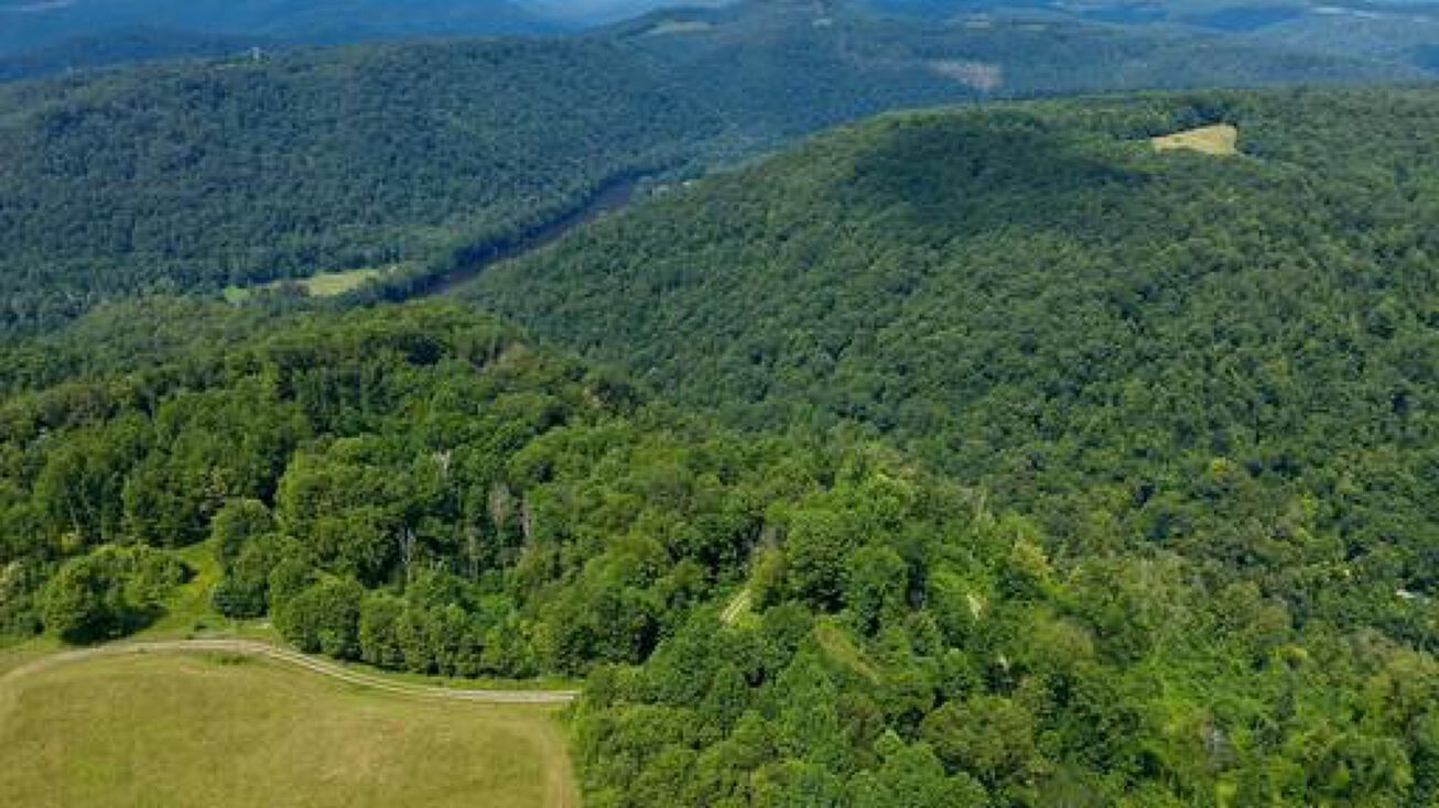 Red Rock Rd, Rowlesburg, WV 26425 | Crexi.com