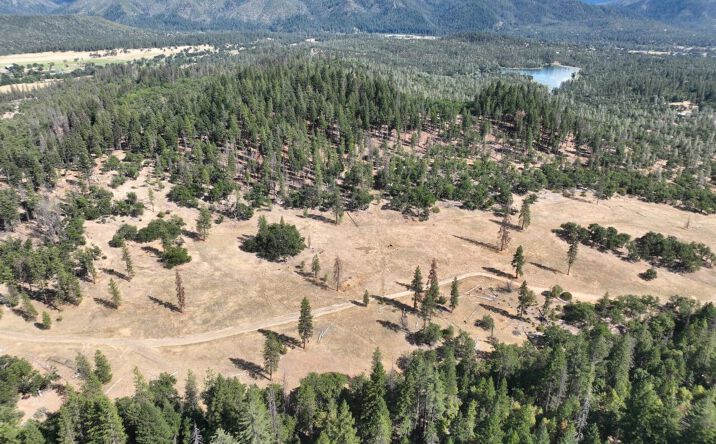 159 Buck Ln, Hayfork, CA 96041 | Crexi.com