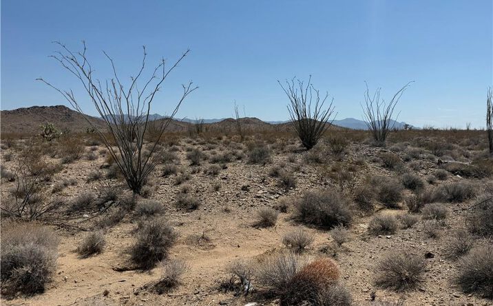 S Ruby Road, Yucca, AZ 86438 | Crexi.com