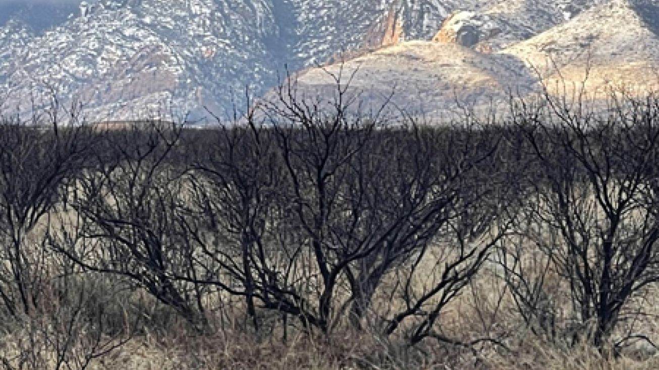 TBD129 W Doe Ranch Road, Sunsites, AZ 85625 | Crexi.com