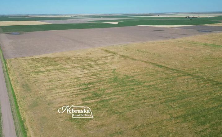 Venango Non-irrigated Farm North of Venango, Venango, NE 69168 | Crexi.com