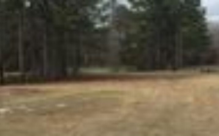 Old Jacksonboro Road, Ravenel, SC 29470 | Crexi.com