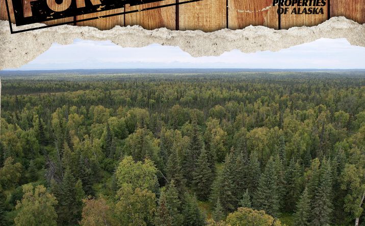 14444 Murry St, Ninilchik, AK 99639 | Crexi.com