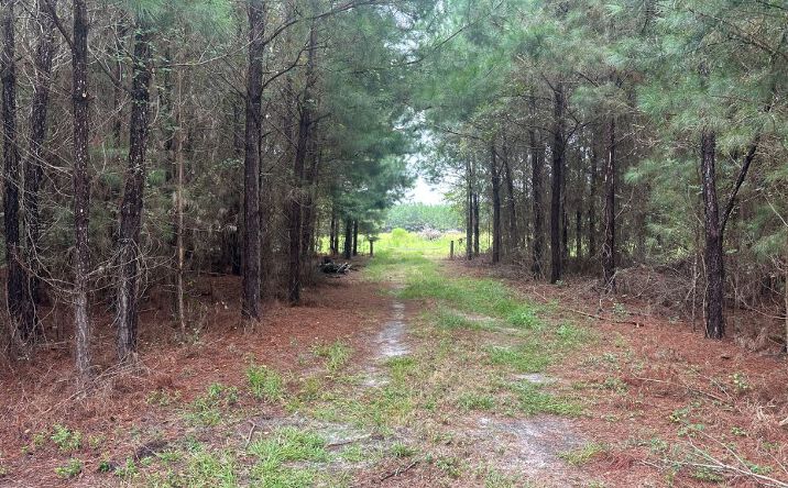 Hwy 67, Pembroke, GA 31321 | Crexi.com