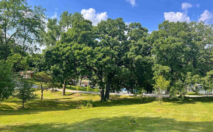 Highway 169 & 230th Street, Arispe, IA 50831 | Crexi.com