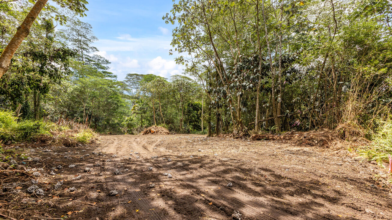 6.36 ac in Pahoa, Pahoa, HI 96778 | Crexi.com