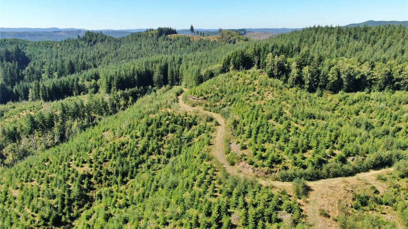 0 Nka Lund Road, Cosmopolis, WA 98537 | Crexi.com