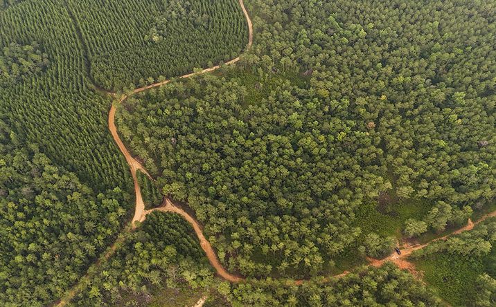 Flathead Forest, Jackson, MS 39201 | Crexi.com