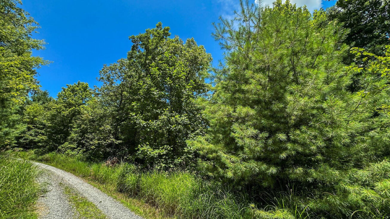 TBD Emma Bri Lane Unit #10, Hendersonville, NC 28739 | Crexi.com