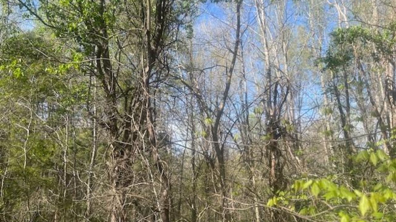 Bee Tree Rd, Salisbury, NC 28146 | Crexi.com