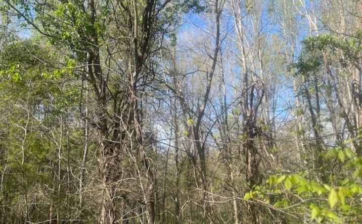 Bee Tree Rd, Salisbury, NC 28146 | Crexi.com