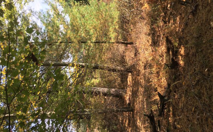 Lot 2A Renee Drive, Out of Area, PA 18328 | Crexi.com