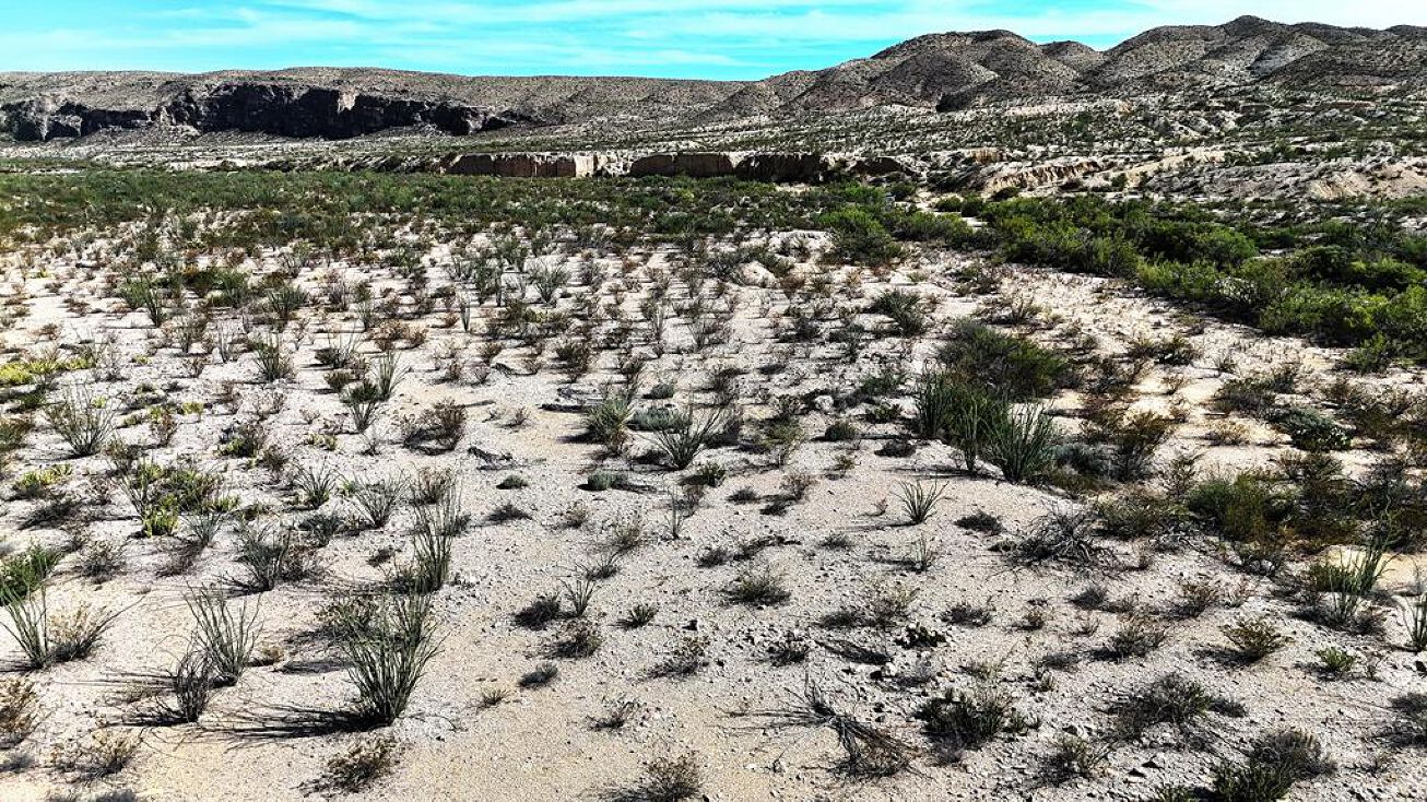 26885 Long Draw Rd., Terlingua, TX 79852 | Crexi.com