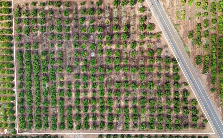 9444 Road 272, Porterville, CA 93257 | Crexi.com