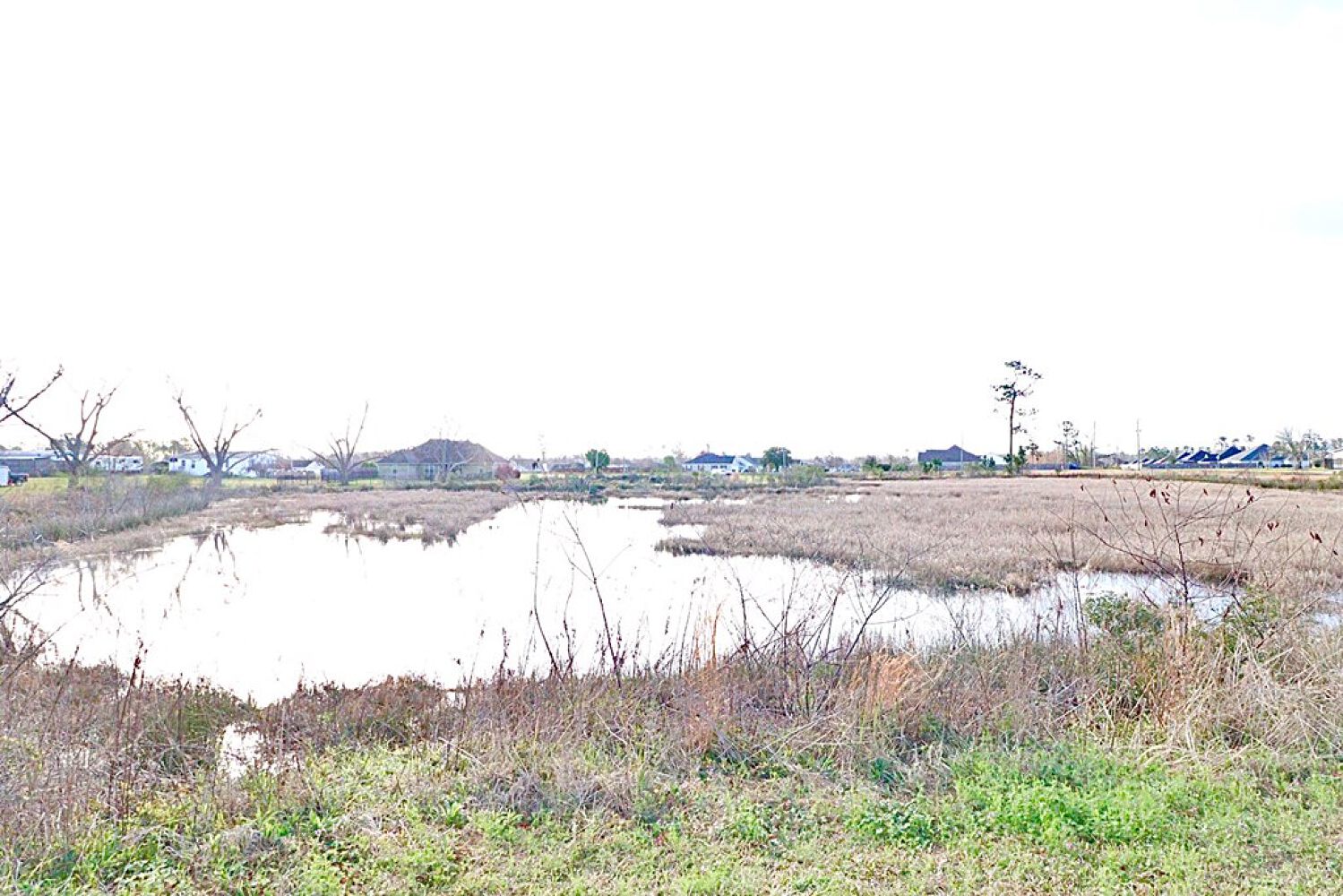 7.97 ac Boyette Road, Lakeland, GA 30604 | Crexi.com