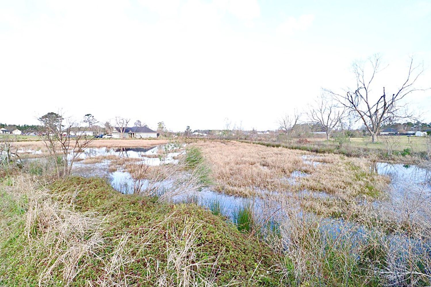 7.97 ac Boyette Road, Lakeland, GA 30604 | Crexi.com