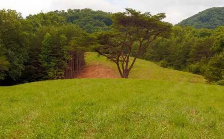 14694 GA-515, Ellijay, GA 30536 | Crexi.com
