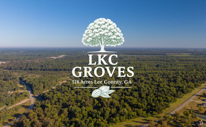 241 Old Leesburg Highway, Leesburg, GA 31763 | Crexi.com