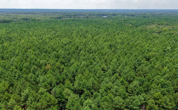 Butlerville Pine North, Cabot, AR 72023 | Crexi.com