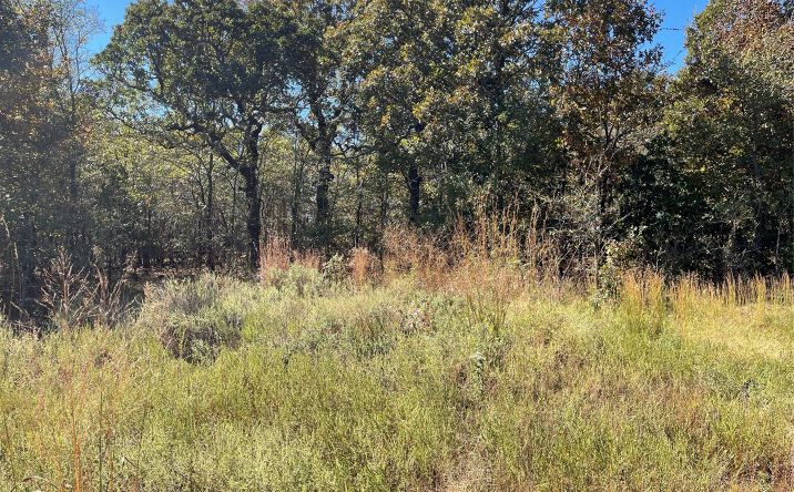 Country Road 3620, Seminole, OK 74868 | Crexi.com