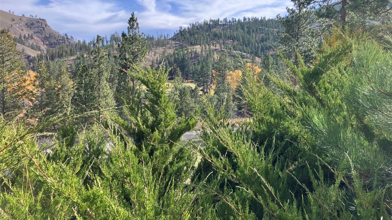 Nhn Medicine Springs Road, Conner, MT 59827 | Crexi.com