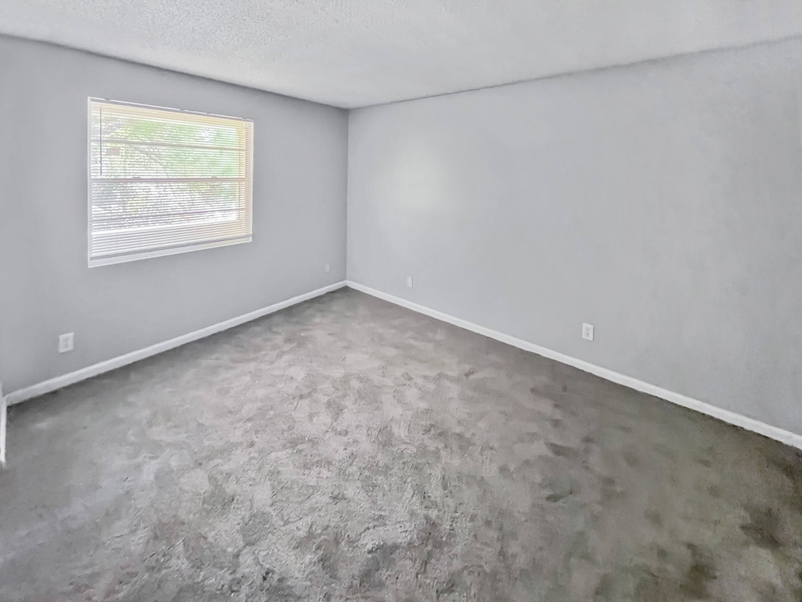 609 GOLDEN RAINTREE PL Brandon FL 33510-4300 APN: 68932.6010 | Crexi.com