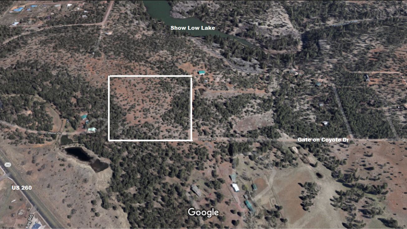 4200 W Coyote Dr, Pinetop-Lakeside, AZ 85929 | Crexi.com