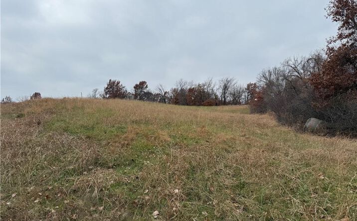 Dover Bluff Road, Waverly, MO 64096 | Crexi.com