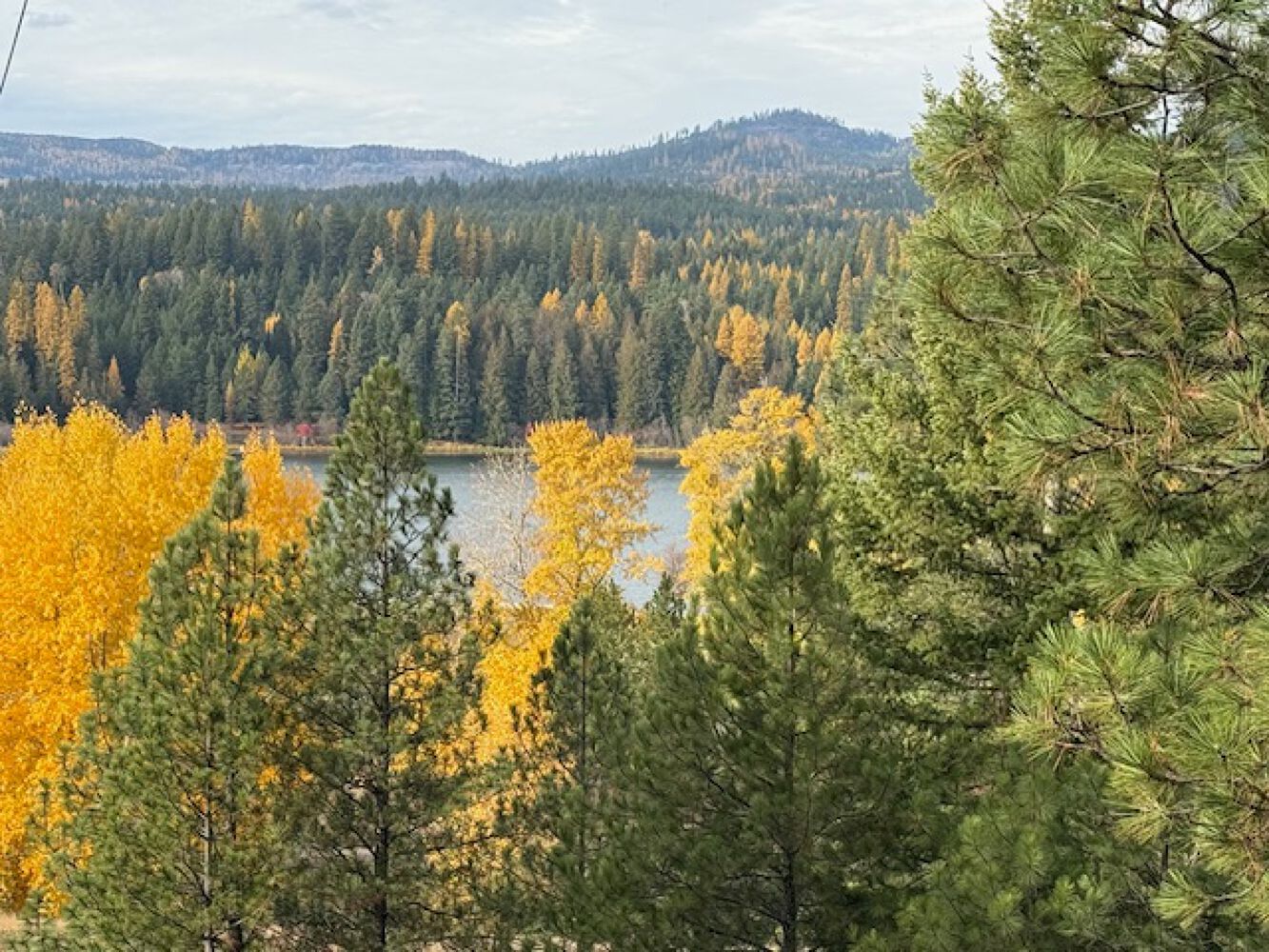 TBD Loch Mira Heights Rd, Cocolalla, ID 83813 | Crexi.com