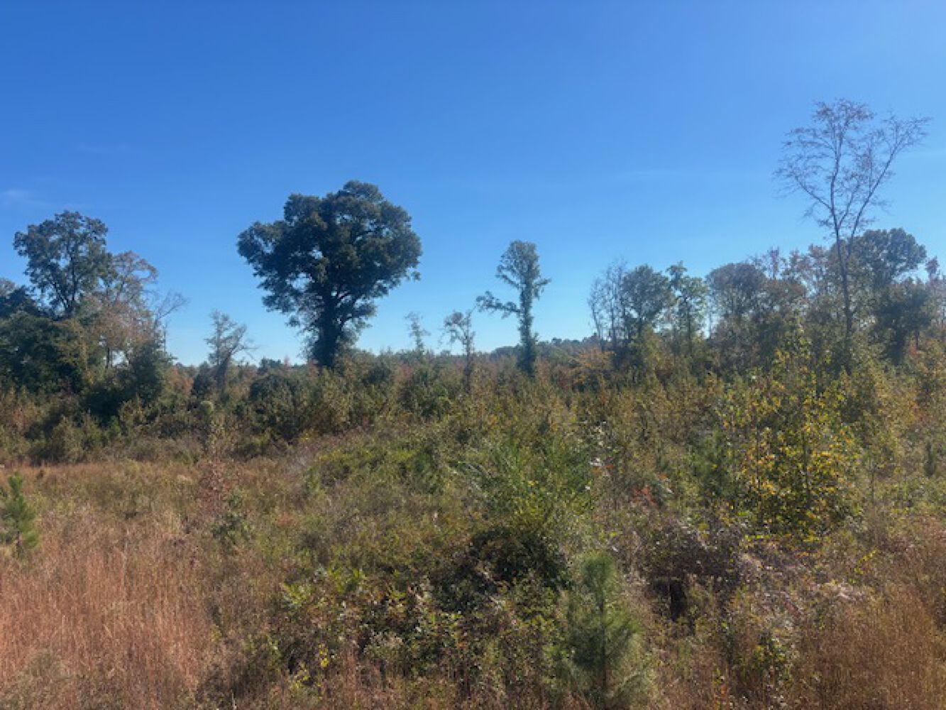 JD Williams Rd, Cadwell, GA 31009 | Crexi.com