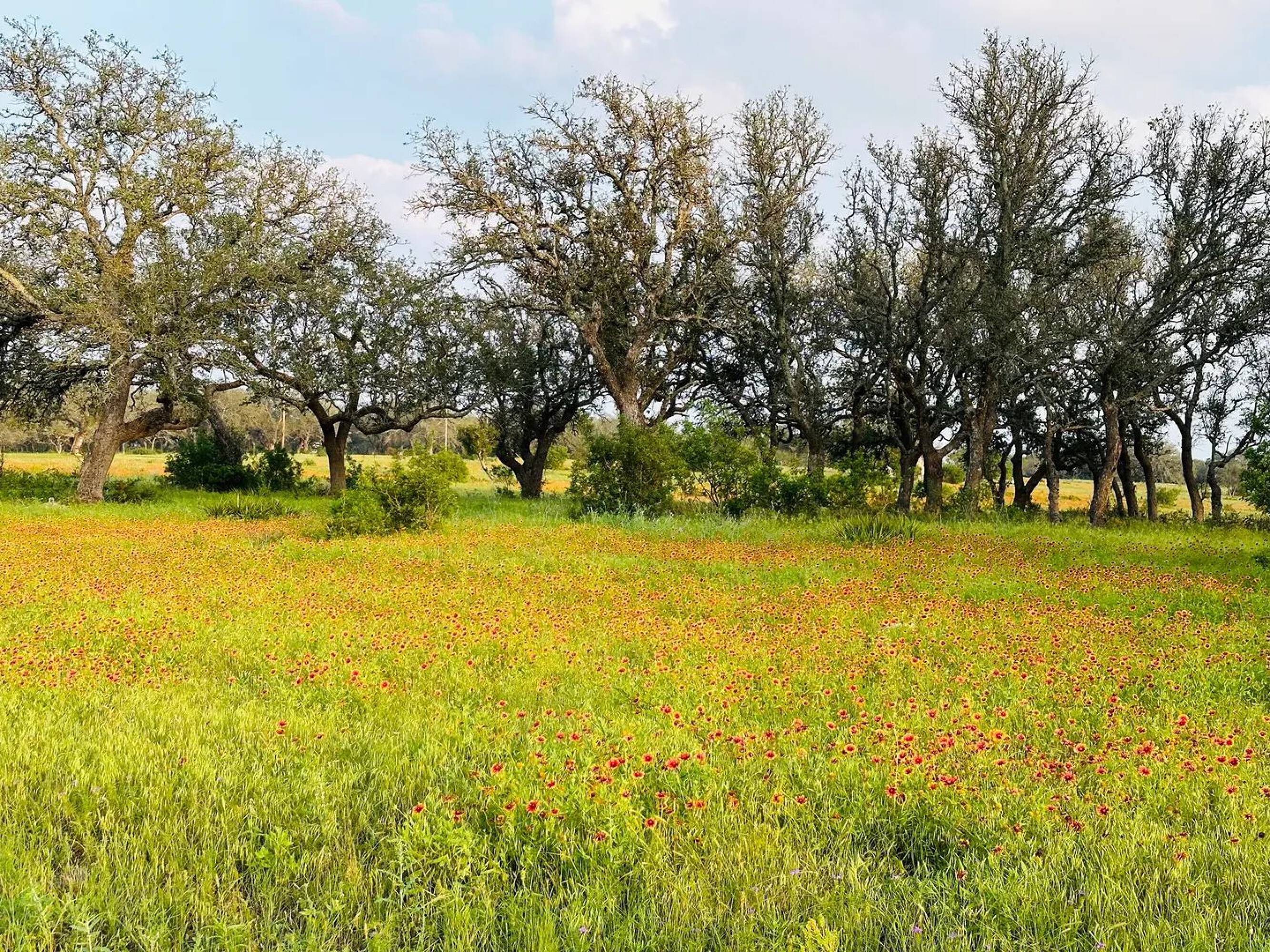 100 South Waterbuck Way, 126813, TX 76550 | Crexi.com