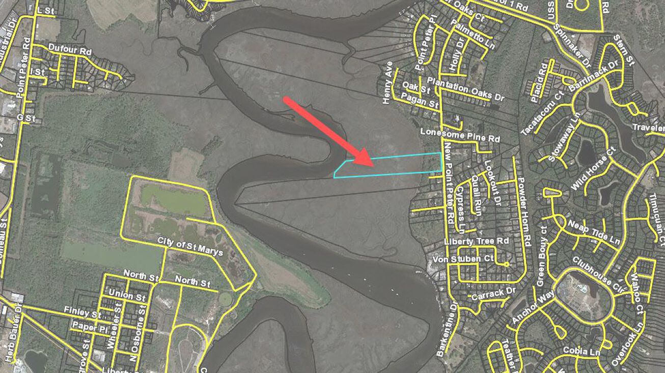 670 New Point Peter Rd, St Marys, GA 31558 - Land for Sale - Acreage in ...