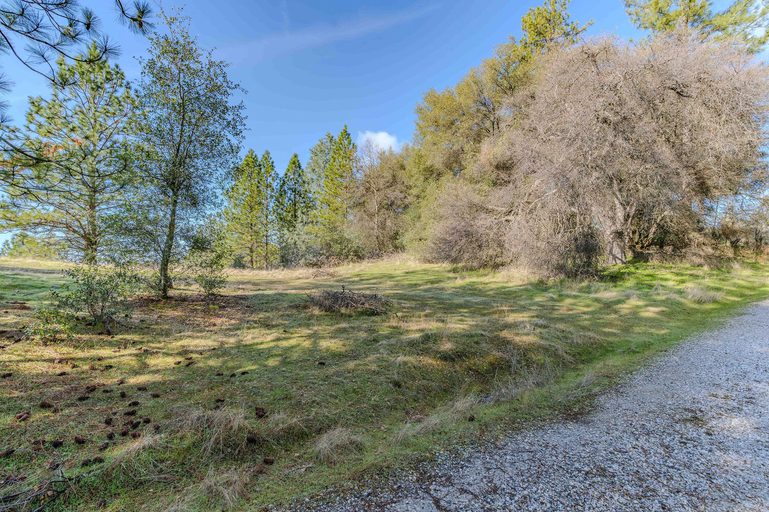 Union Hill Lane, Sonora, CA 95730 | Crexi.com