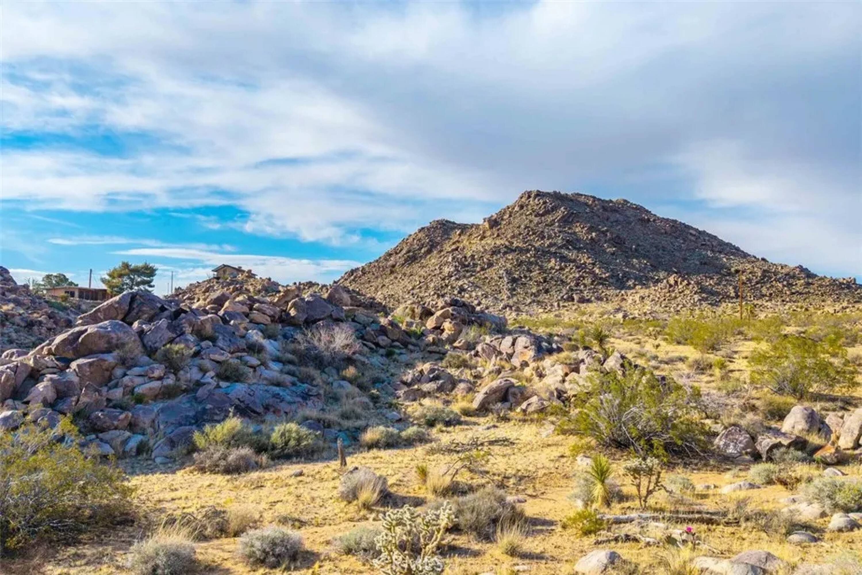 62570 Turtle, Joshua Tree, CA 92252 | Crexi.com