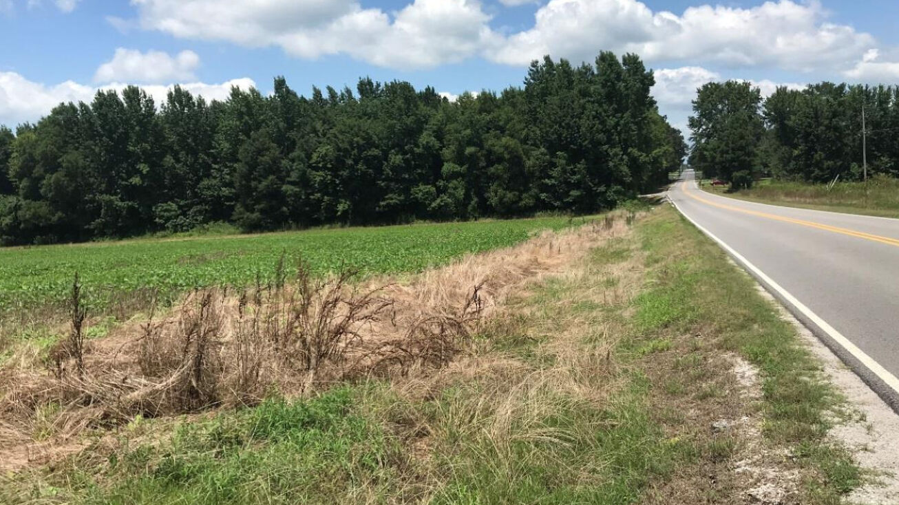 East Limestone Road, Harvest, AL 35749 | Crexi.com