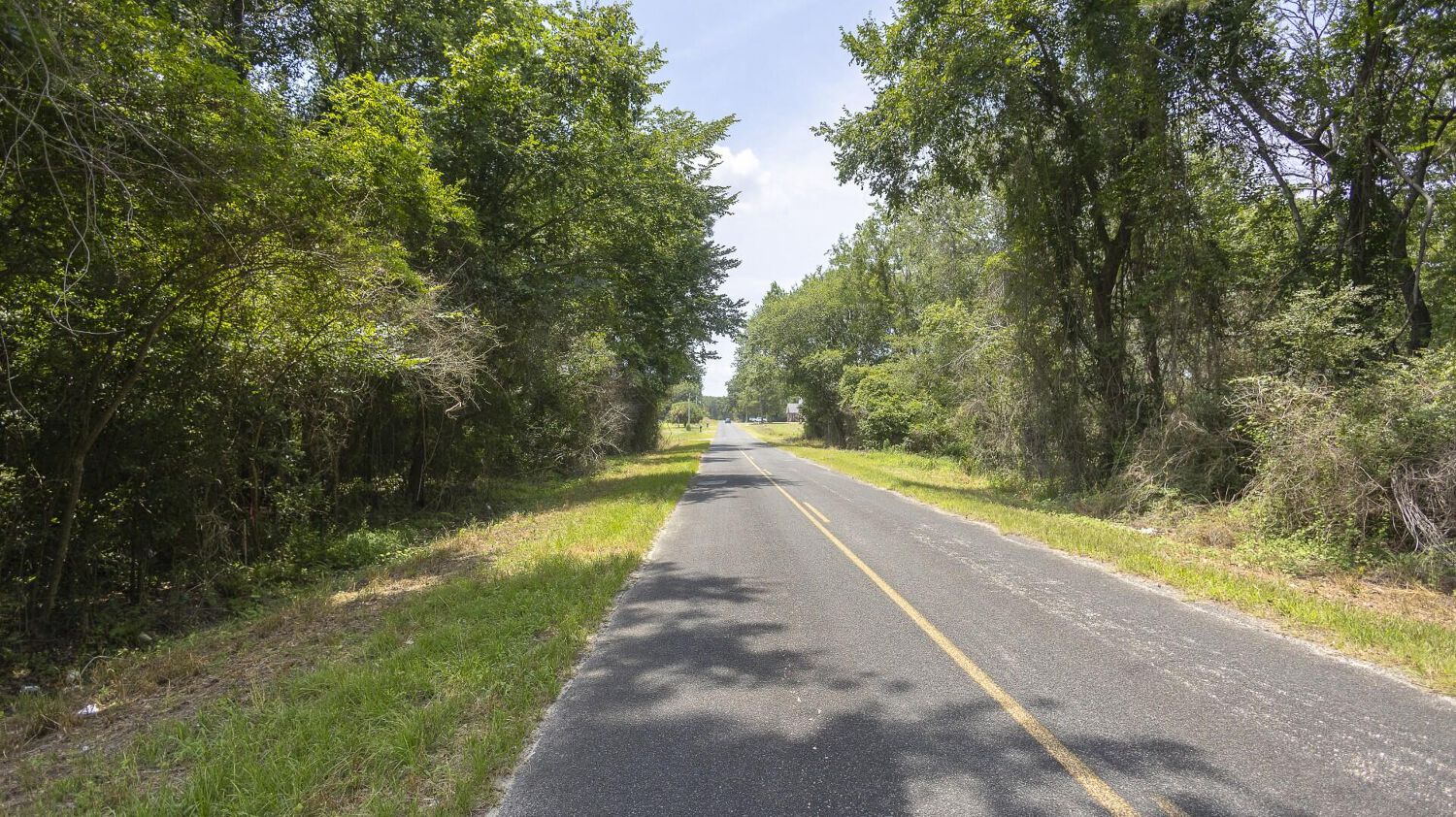 1 Joseph Lemon And Dingle Rd Road 1, Manning, SC 29102 | Crexi.com
