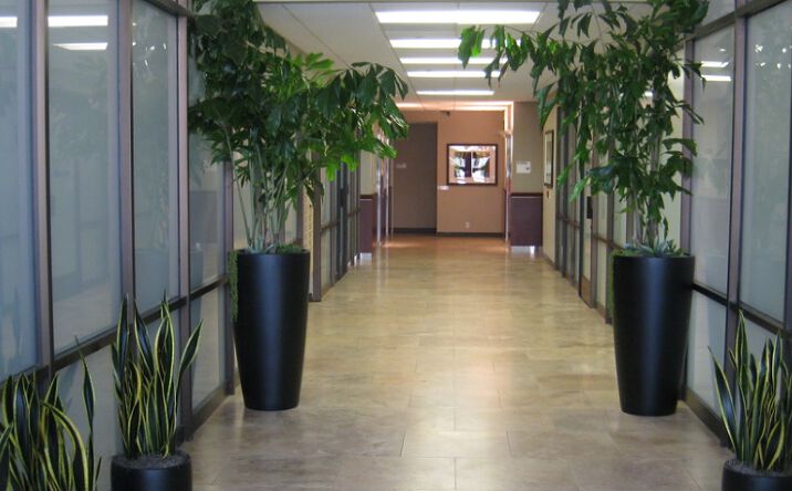 Roger Niez - NAI Capital Commercial Real Estate Services, Worldwide | Crexi